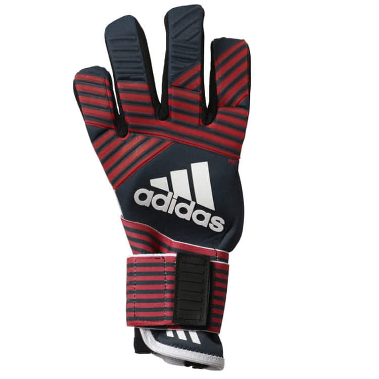 Welche Torwarthandschuhe trägt Manuel Neuer? Adidas Handschuhe!
