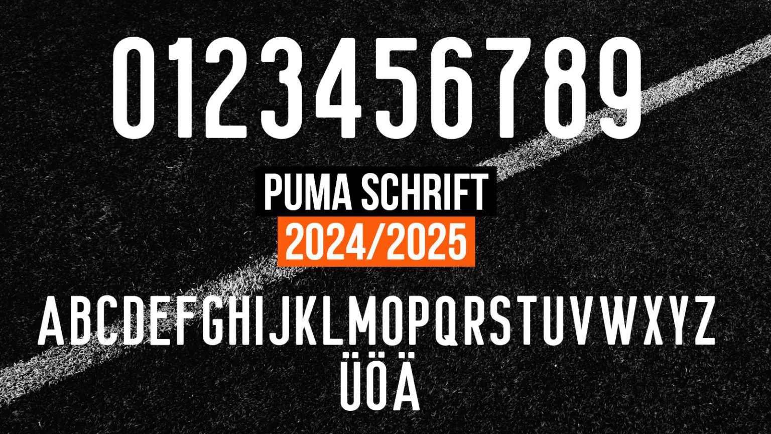 Puma Schrift 2024/2025 für Trikots und Sportbekleidung | Shop
