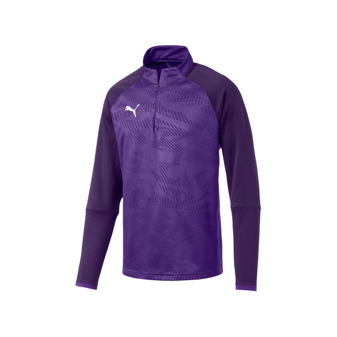 Puma Cup Training 1/4 Zip Top Core
